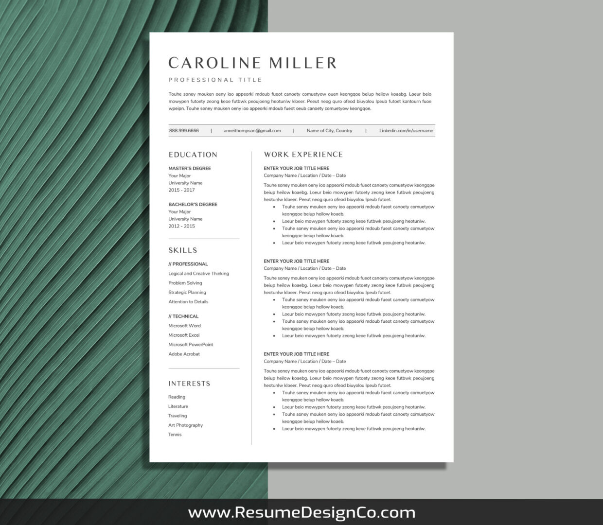 Simple CV Template MS Word, Clean Resume Template, Professional Resume ...