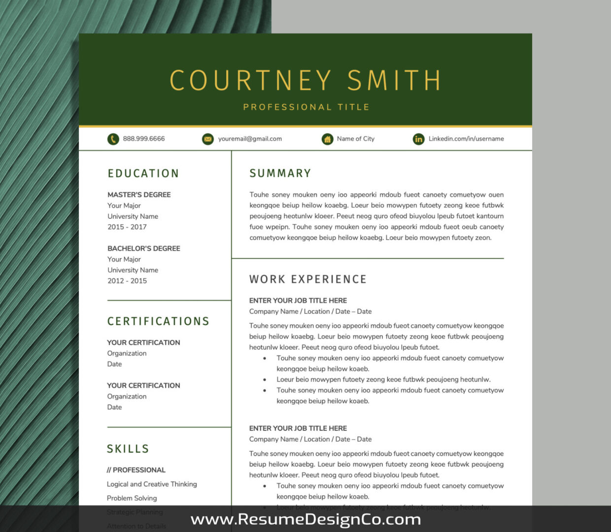 Modern and Creative CV Template for MS Word, Professional Resume ...