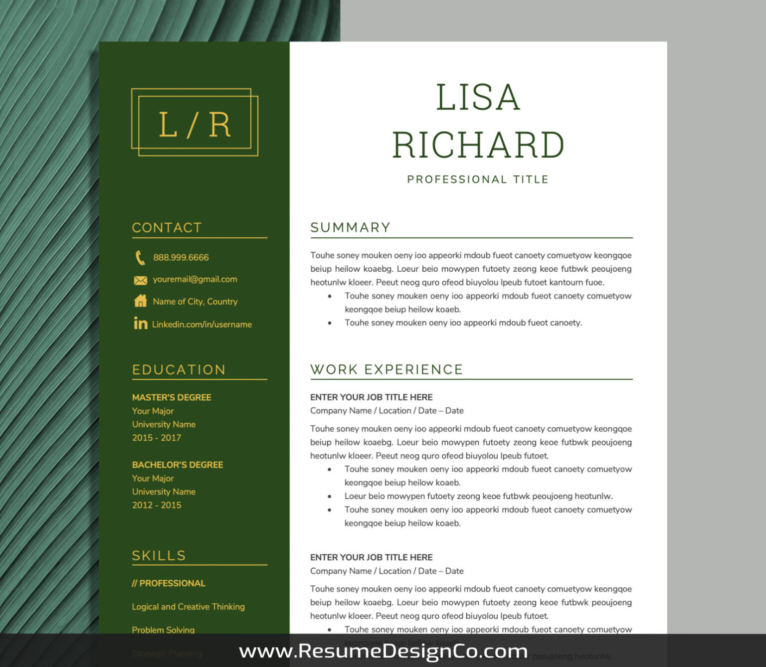 Resume Template MS Word, CV Template, Professional Simple Resume Design ...