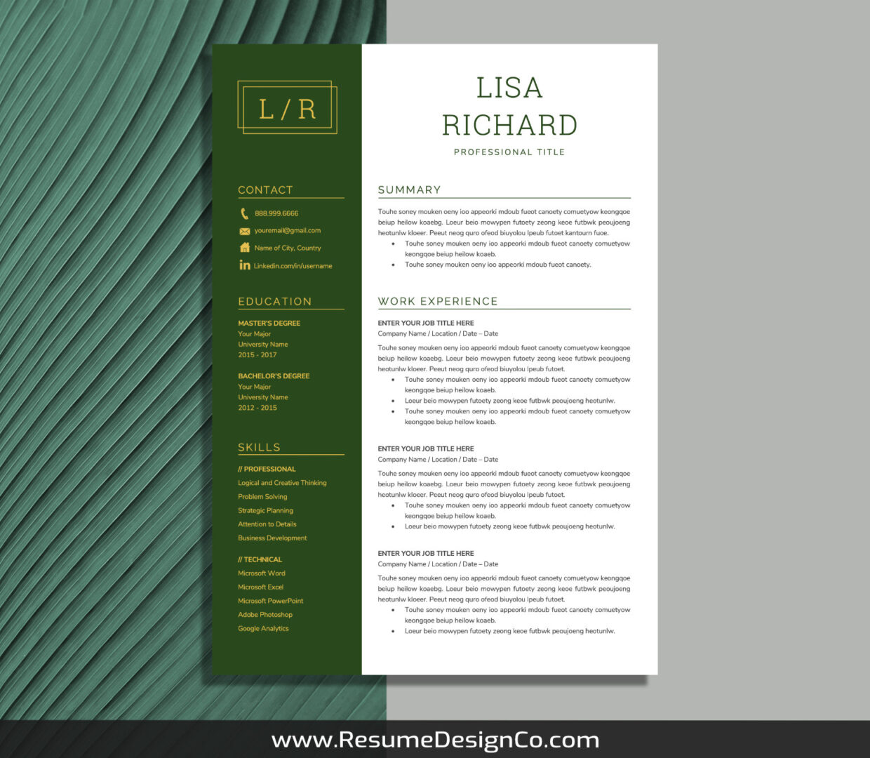 Professional CV Template for MS Word, Simple Resume Template, Clean ...