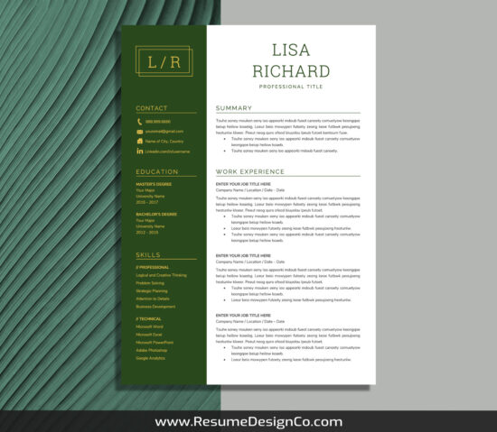 Professional CV Template for MS Word, Simple Resume Template, Clean ...