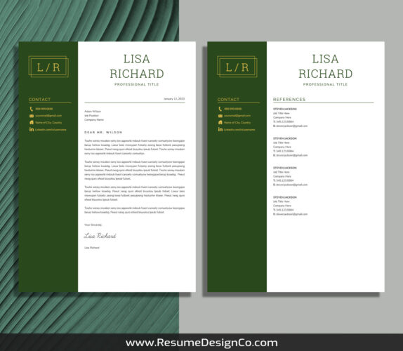 Professional CV Template for MS Word, Simple Resume Template, Clean ...